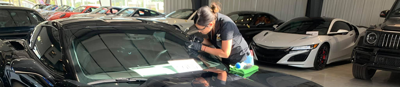 Operating Instructions for the Screw Type Injector - Delta Kits